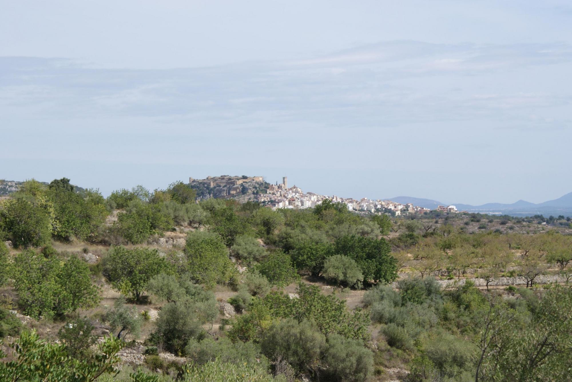 Franz und Jacqueline - Cervera del Maestre